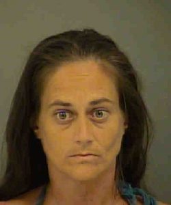 Gray, Lisa Renee | 2016-08-17 21:01:00 Mecklenburg County, North ...