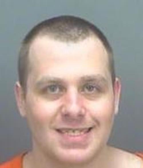 Michael Carli | 2017-03-28 10:04:00 Pinellas County, Florida Booking