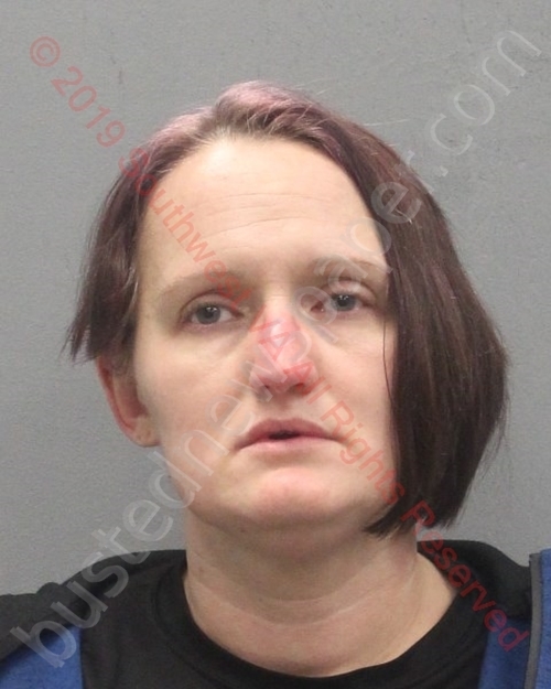 Alisha Renea Caudill | 2019-01-24 Southwest Regional Jail, Virginia Booking
