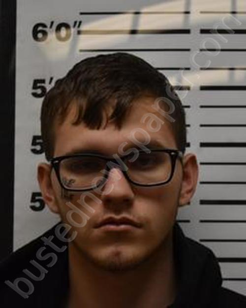 Riley William Nall | 2020-04-26 03:00:00 Pratt County, Kansas Booking
