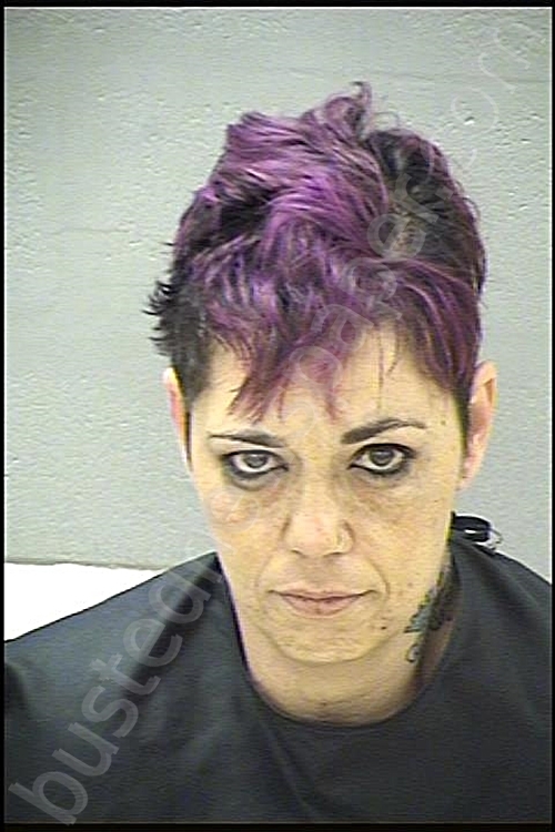 Dabbs, Stephanie Michelle | 2022-03-09 13:10:00 Lynchburg, Virginia Booking