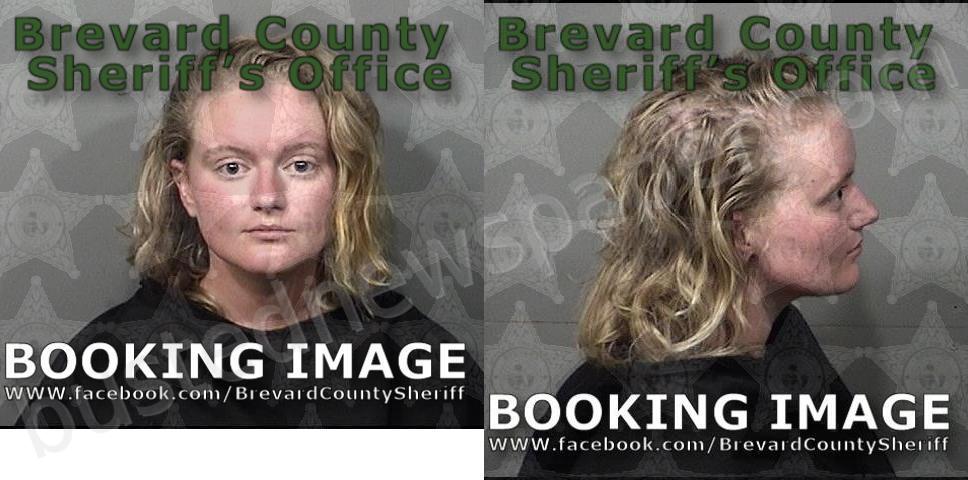 Hefner, Ashlea Mariah Luby | 2022-06-19 19:07:00 Brevard County ...