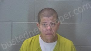 Platt, Mary Marie | 2024-08-12 15:19:33 Tippecanoe County, Indiana Booking