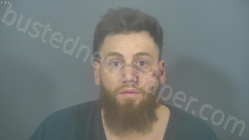 Howlett, Michael Aaron | 2024-10-11 05:57:00 St. Joseph County, Indiana ...