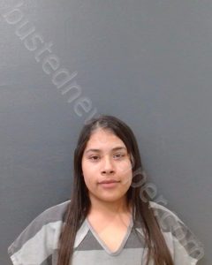 Alfaro, Alexa | 2024-11-26 Comal County, Texas Booking