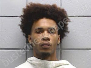 Johnson, Jaiden Ashton | 2024-12-24 16:16:00 Navarro County, Texas Booking