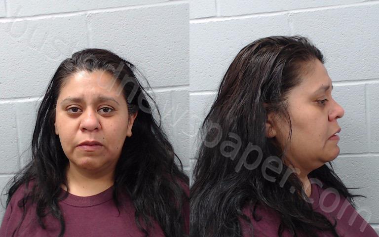 Perez, Valerie Ann | 2025-01-09 Hays County, Texas Booking