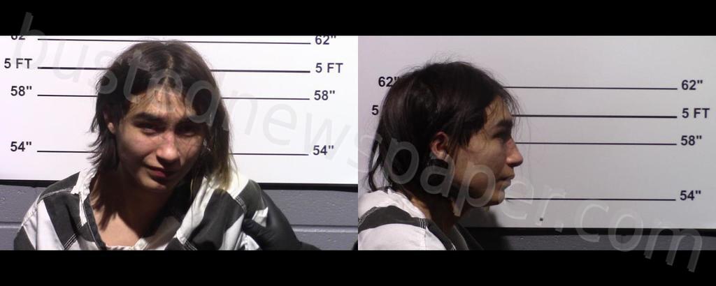 Cantu, Devin Anthony | 2025-01-18 Gillespie County, Texas Booking