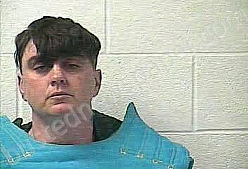 Lunsford, April Dawn | 2025-02-27 18:43:00 Daviess County, Kentucky Booking