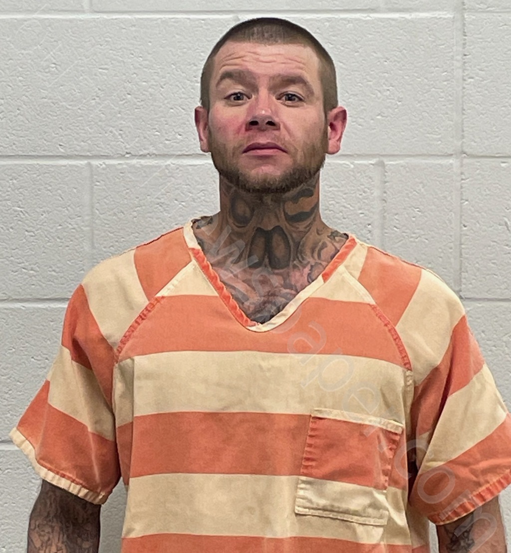 Snelling, Ricky Allen | 2025-03-31 21:18:32 Fulton County, Indiana Booking