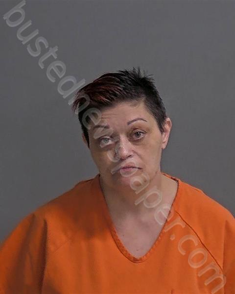 Kissel, Megan L | 2025-04-11 Sandusky County, Ohio Booking