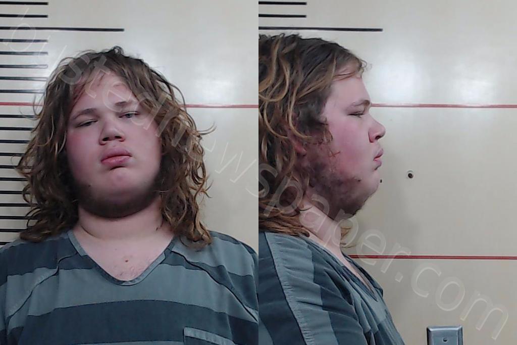 Morris, Michael Dylan Lee | 2025-04-29 Parker County, Texas Booking