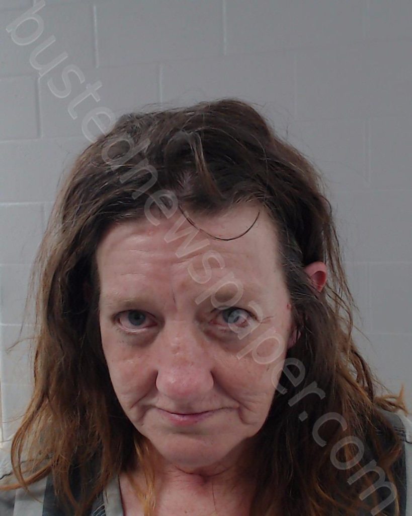 Loudermilk, Misty Lynn | 2025-05-11 Johnson County, Texas Booking