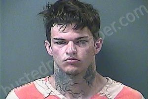 Linville, Antonio Javier | 2025-05-21 13:02:00 Laporte County, Indiana ...