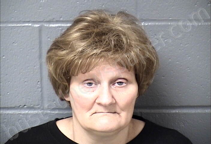 Mcavoy, Jennifer Sue | 2025-06-08 Woodford County, Illinois Booking