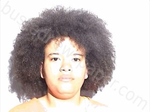 Tisdale, Daisha Marie | 2025-06-10 09:00:00 Lucas County, Ohio Booking