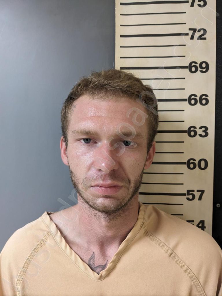 White, Brenden Wayne | 2025-06-10 18:17:00 Covington County, Alabama ...