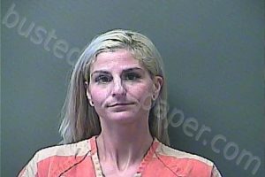 Tully, Elizabeth Nicole | 2025-06-11 20:56:00 Laporte County, Indiana ...