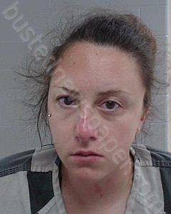 Richardson, Kayle | 2025-06-25 Johnson County, Texas Booking