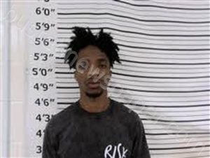 Dothan, AL Mugshots - BUSTEDNEWSPAPER.COM