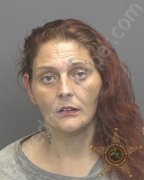 Young, April Dawn | 2025-07-02 18:14:00 Vanderburgh County, Indiana Booking