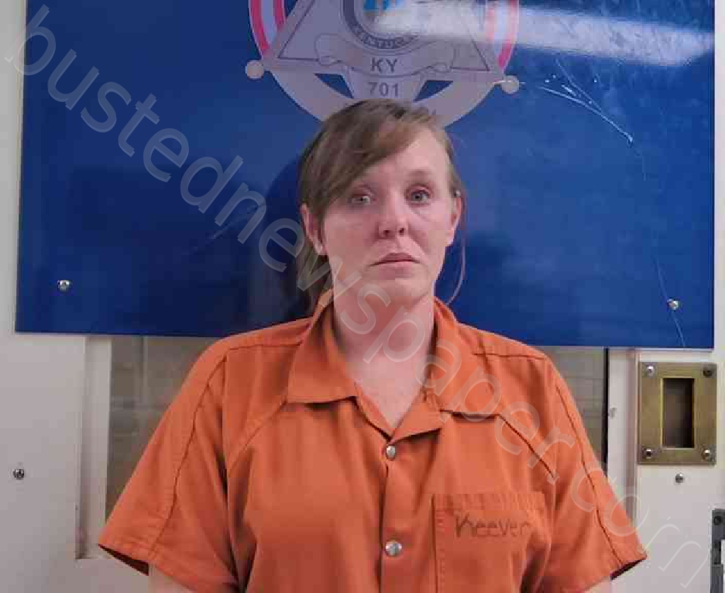 Snoddy, Shayna | 2025-07-10 Boyd County, Kentucky Booking