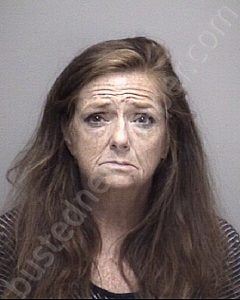 Hoepker, Melanie Ruth | 2025-07-11 15:00:00 Galveston County, Texas Booking