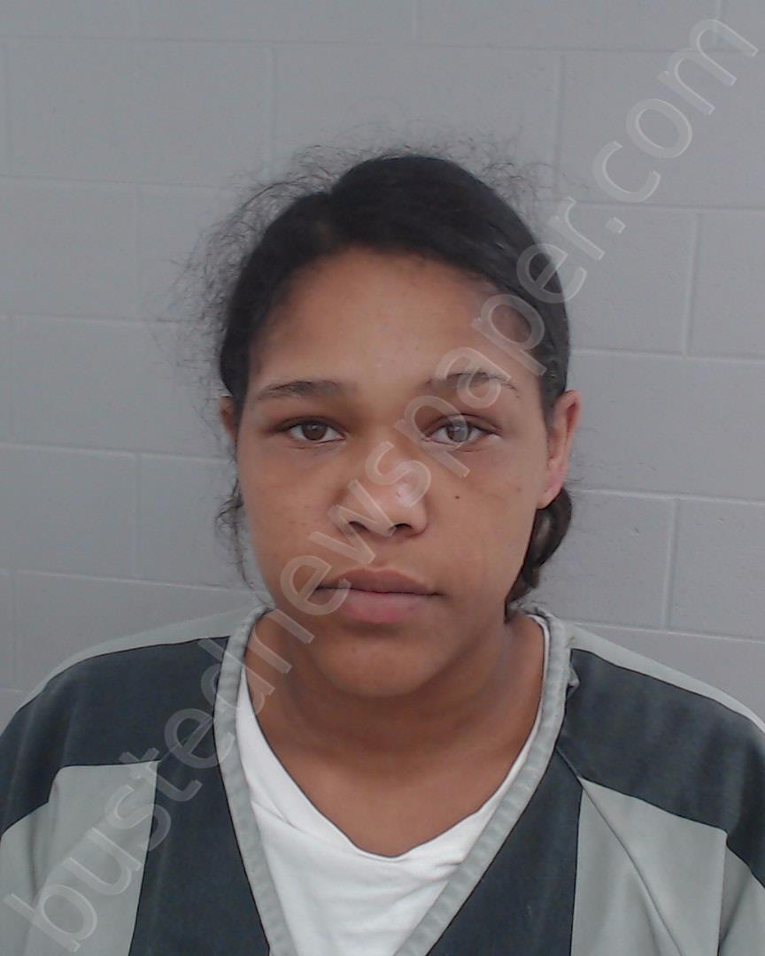 Clark, Sandra Pauline | 2025-07-17 Johnson County, Texas Booking