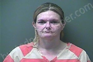 Biddle, Marie E | 2025-07-29 09:40:00 Laporte County, Indiana, La Porte ...