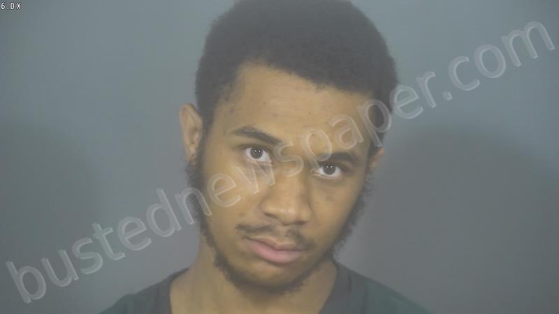 Green, Christopher Leandre | 2025-07-30 14:40:00 St. Joseph County, Indiana Booking