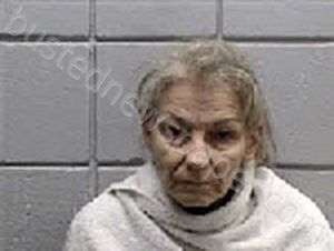 Robertson, Cheryl Dawn | 2025-08-11 14:33:00 Navarro County, Texas Booking