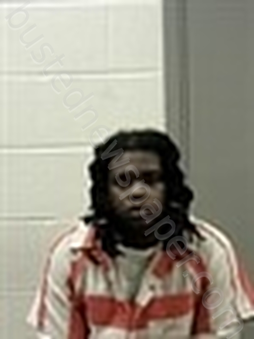 Ferris, Tyler | 2025-09-19 16:48:00 Jackson County, Arkansas Booking