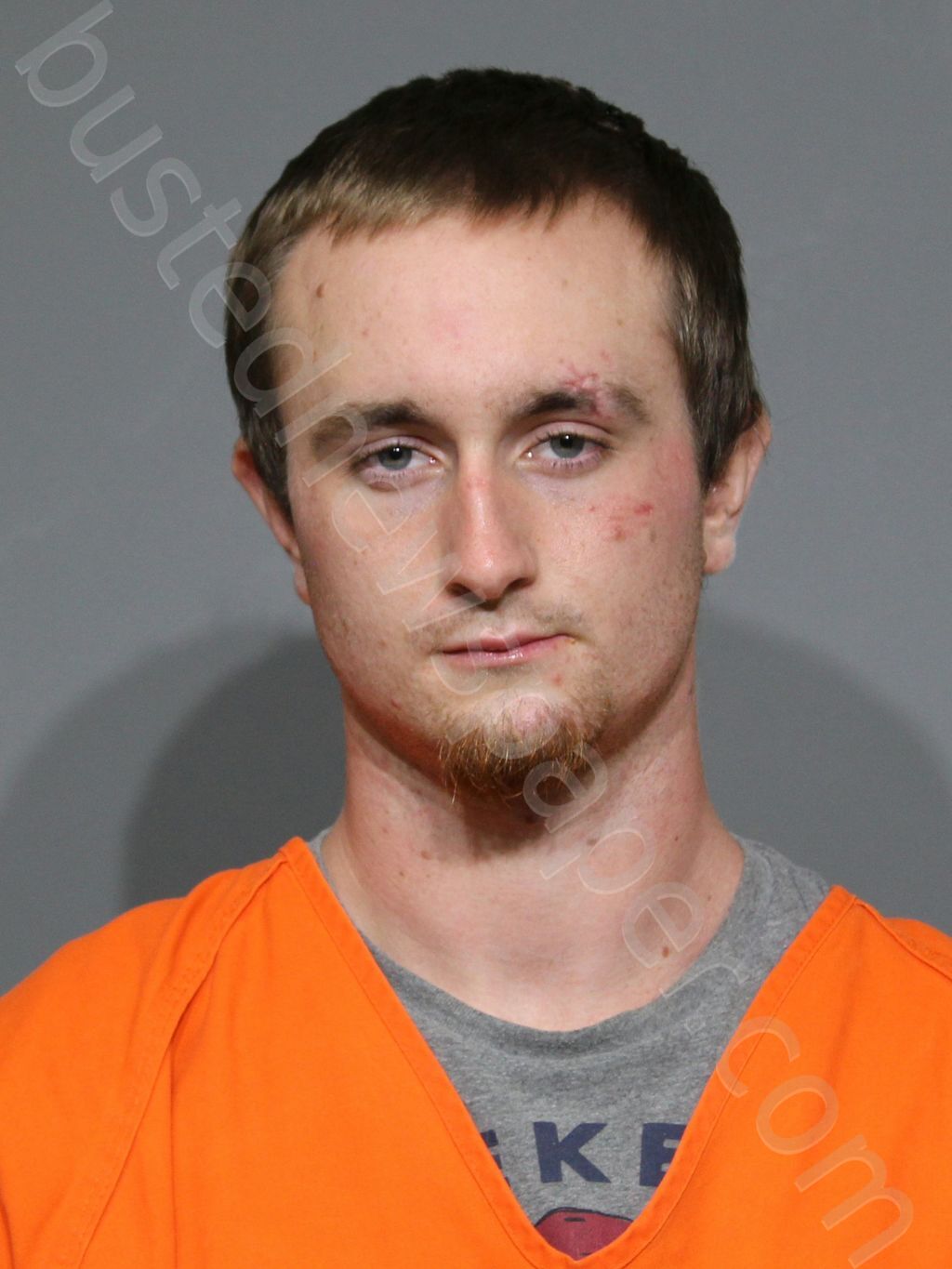 Moses, Tyler Cole | 2025-09-21 23:29:28 York County, South Carolina Booking