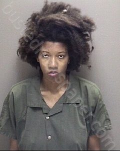 Johnson, Jakara Nicole | 2025-10-03 22:13:00 Galveston County, Texas ...