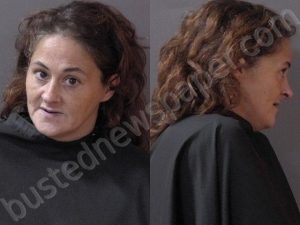 Martin, Tamara Marie | 2025-10-10 19:53:00 Hamilton County, Indiana Booking