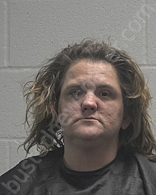 Huffman, Tabitha Elaine | 2025-10-25 16:23:00 Cleveland County, North Carolina Booking