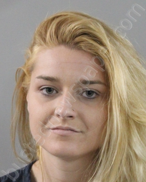 Smith, Hannah Nicole | 2025-10-31 Polk County, Florida Booking