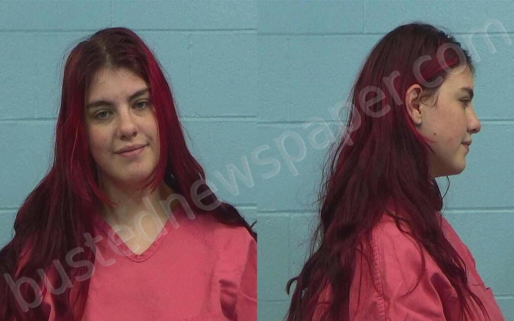 Hammer, Sarah Beth | 2025-11-03 Williamson County, Texas Booking