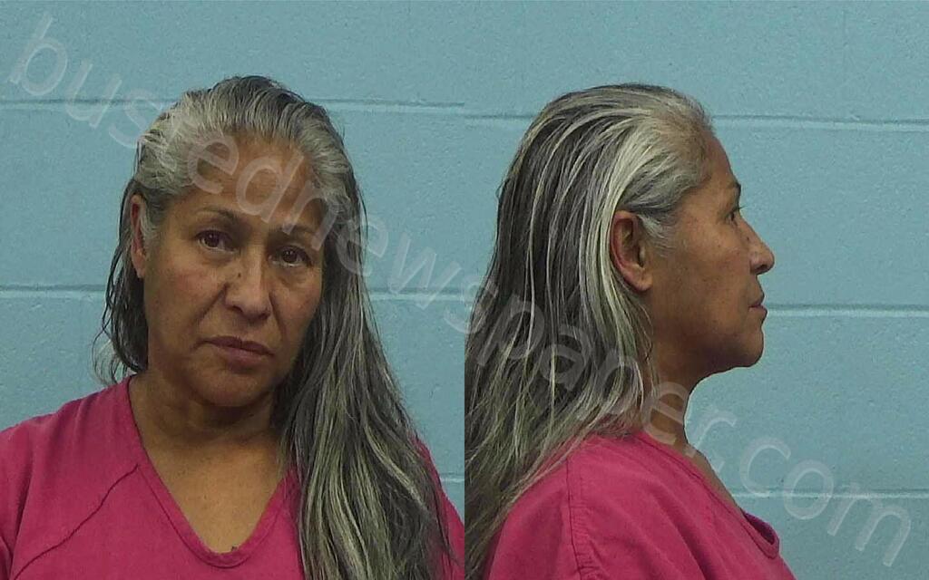 Washington, Rose Soto | 2025-11-05 Williamson County, Texas Booking