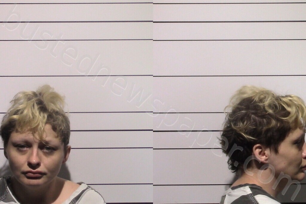 Martin, Kyra Renea | 2025-11-07 Gillespie County, Texas Booking