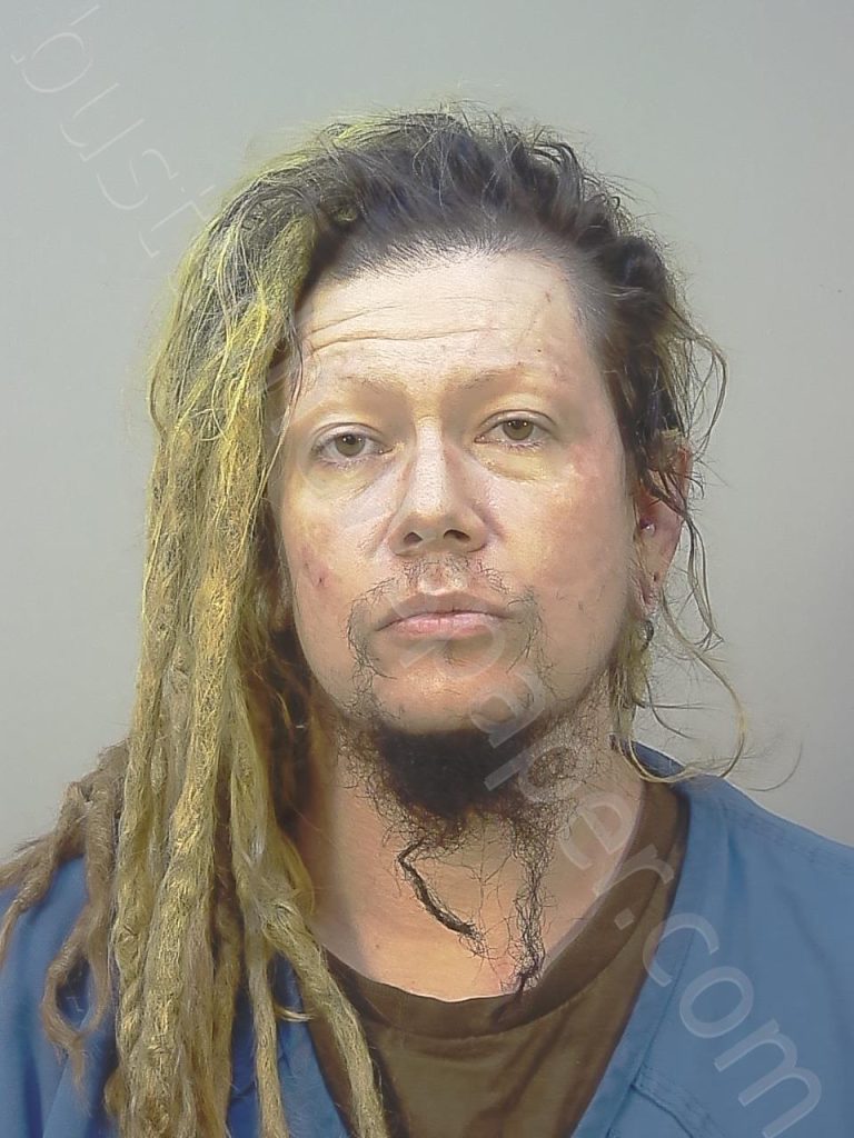 Veronica Noir Smash | 2025-11-08 12:30:00 Dane County, Wisconsin Booking