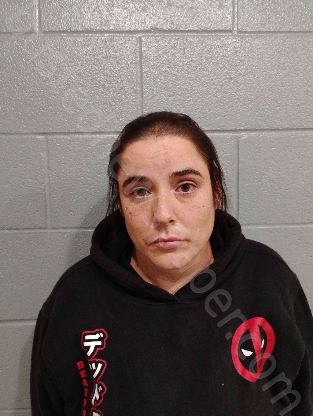 Rose , Tamera | 2025-11-08 Barren County, Kentucky Booking