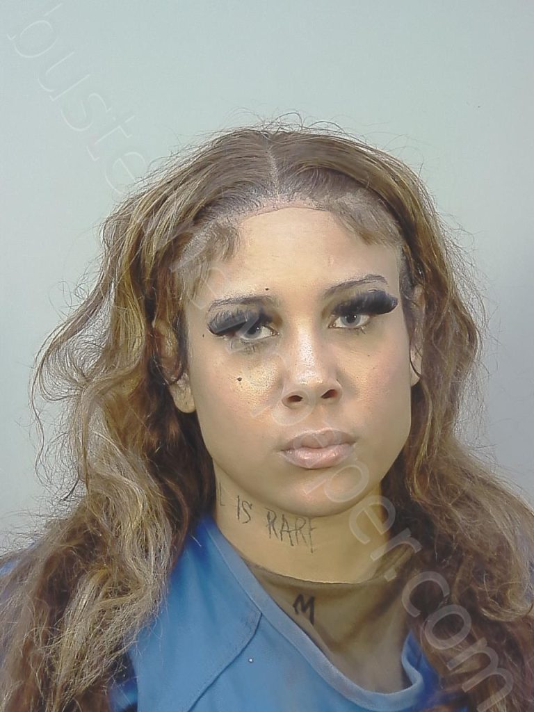 Deziree Nicole Patience Hood | 2025-11-11 09:24:00 Dane County ...