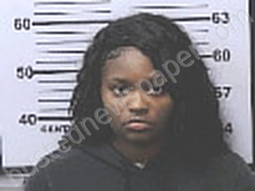 Johnson, Raygen Monae | 2025-11-12 Mobile County, Alabama Booking