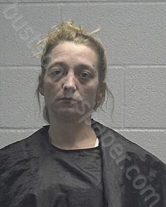 Robbins, Carissa Jo | 2025-11-12 01:31:00 Cleveland County, North ...