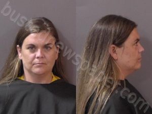 Absher, Tana Marie | 2025-11-12 12:14:00 Hamilton County, Indiana Booking