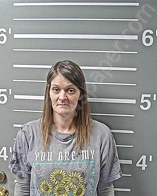 Siar, Christyl E | 2025-11-13 00:06:17 Montgomery County, Illinois Booking