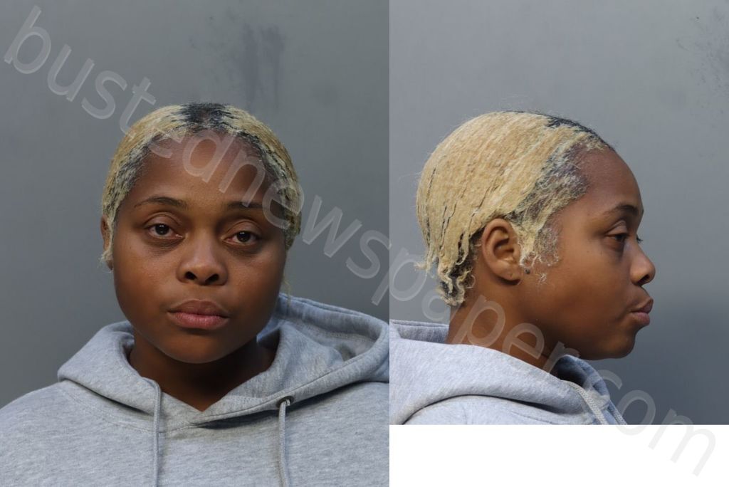 Lathan, Tekeya | 2025-11-14 00:18:00 Miami-Dade County, Florida Booking