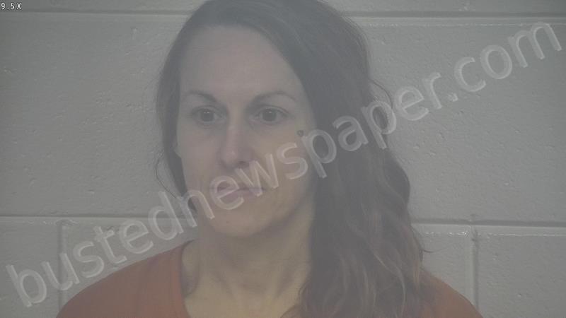 Lowery, Coleen | 2025-11-14 10:01:00 Carroll County, Kentucky Booking