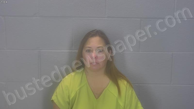 Chaney, Lisa Marie | 2025-11-15 03:25:01 Tippecanoe County, Indiana Booking